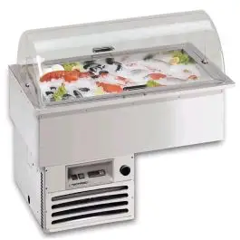 RECESSED BATH REFRIGERATED FISH EXHIBITION-MOD. NEPTUNE-DOME CAN BE ...